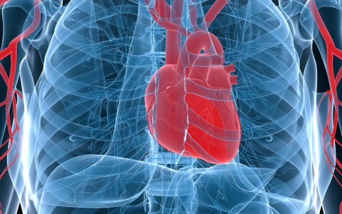 Stroke | German Neuroscience Center Dubai