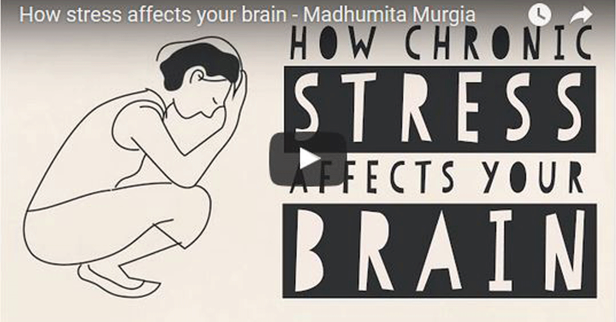 How chronic stress can affect the brain's size, structure, and how it ...
