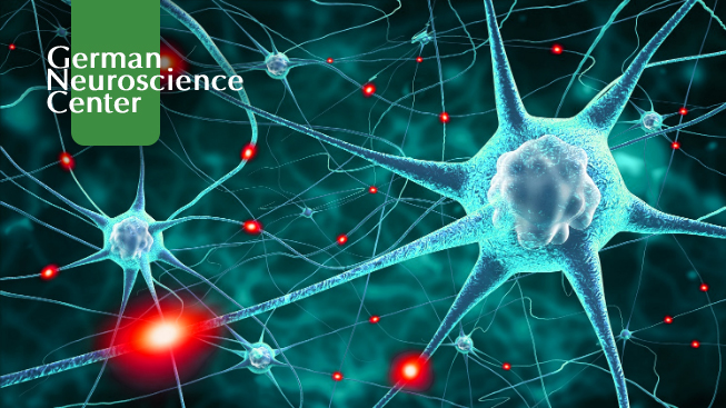 Seizure Disorders: Definition, Symptoms, Causes, and Diagnosis | German ...