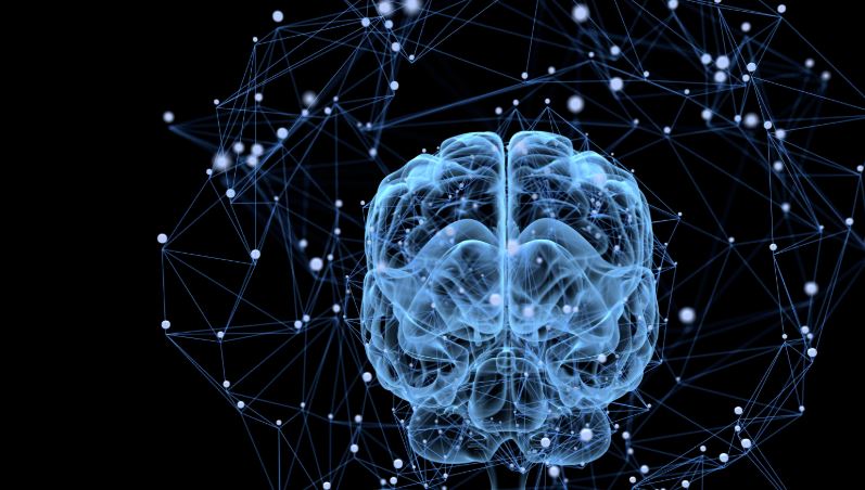 What You Need to Know About Status Epilepticus | German Neuroscience ...